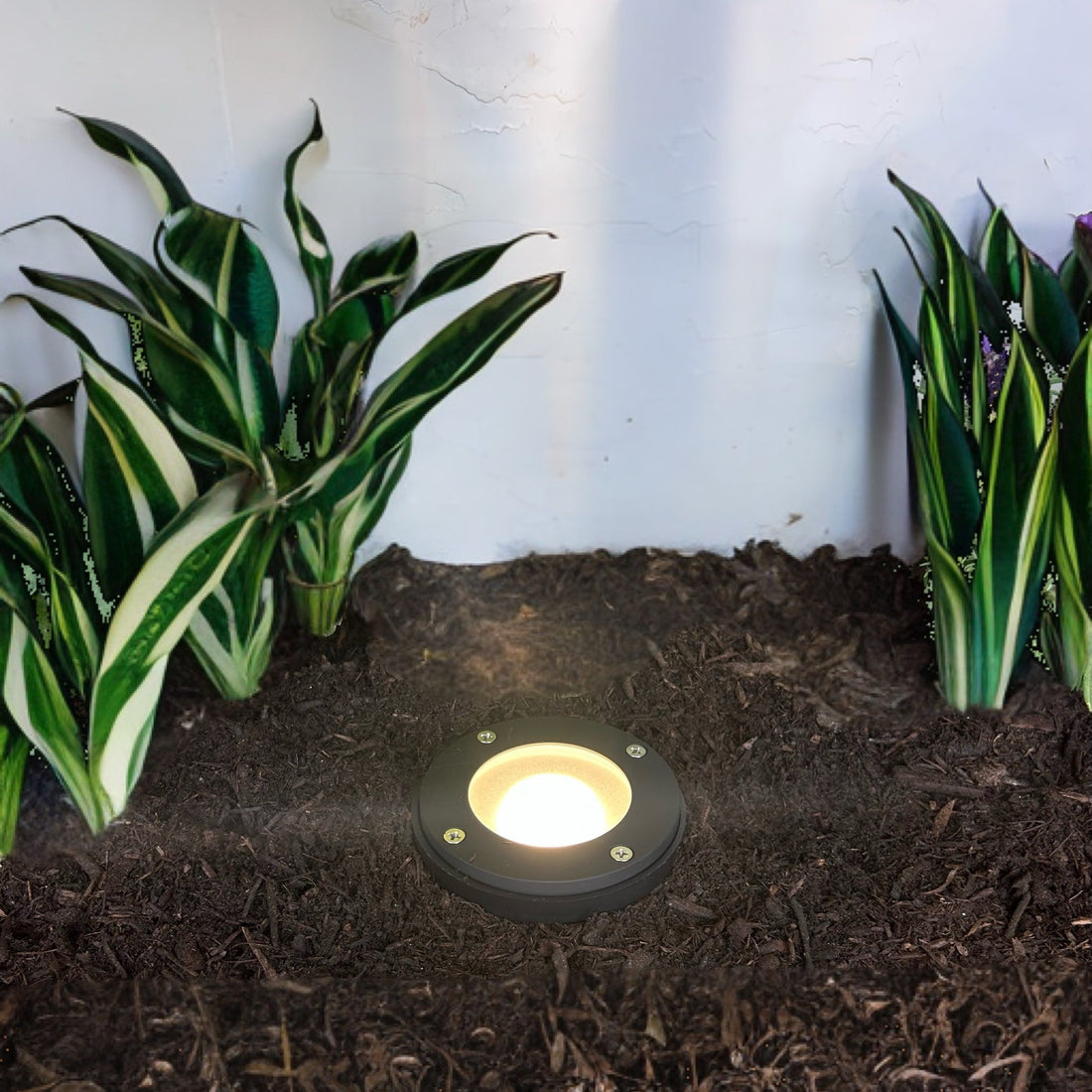 Noir Palomer Cast Brass Black In-Ground Well Light