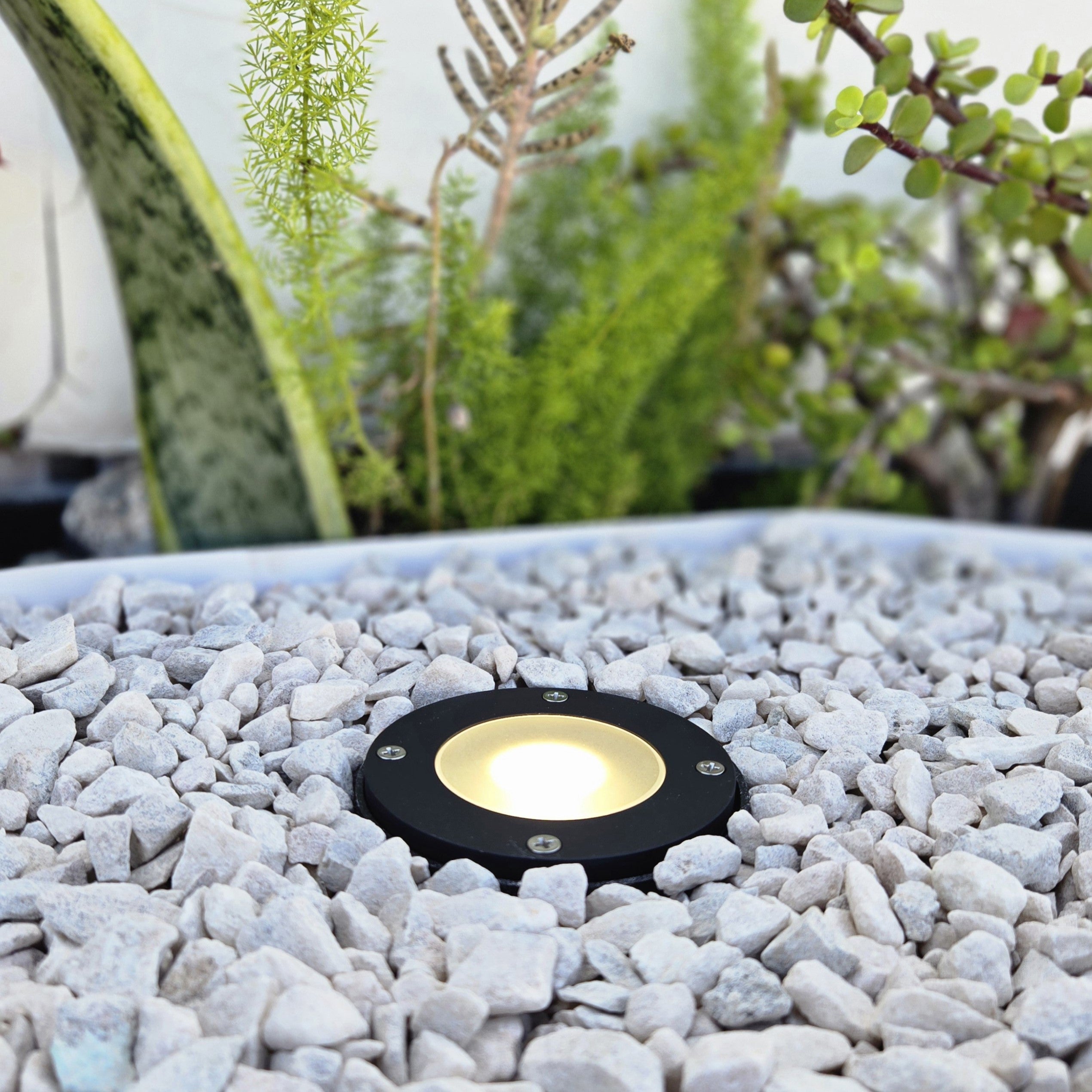Palomer Cast Brass In Ground Well Light 12V Outdoor