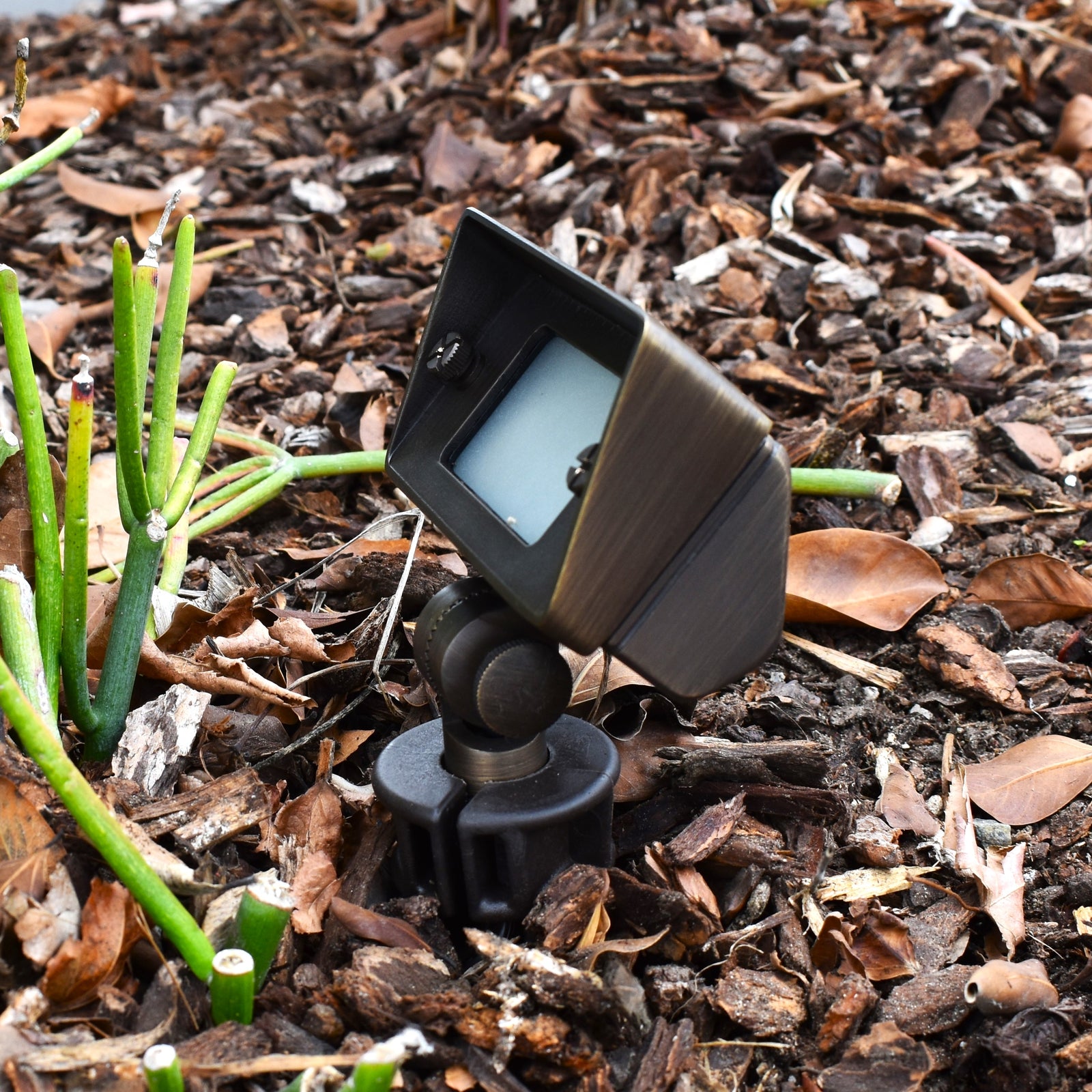 Chateau Solid Cast Brass Flood Light Natural Bronze